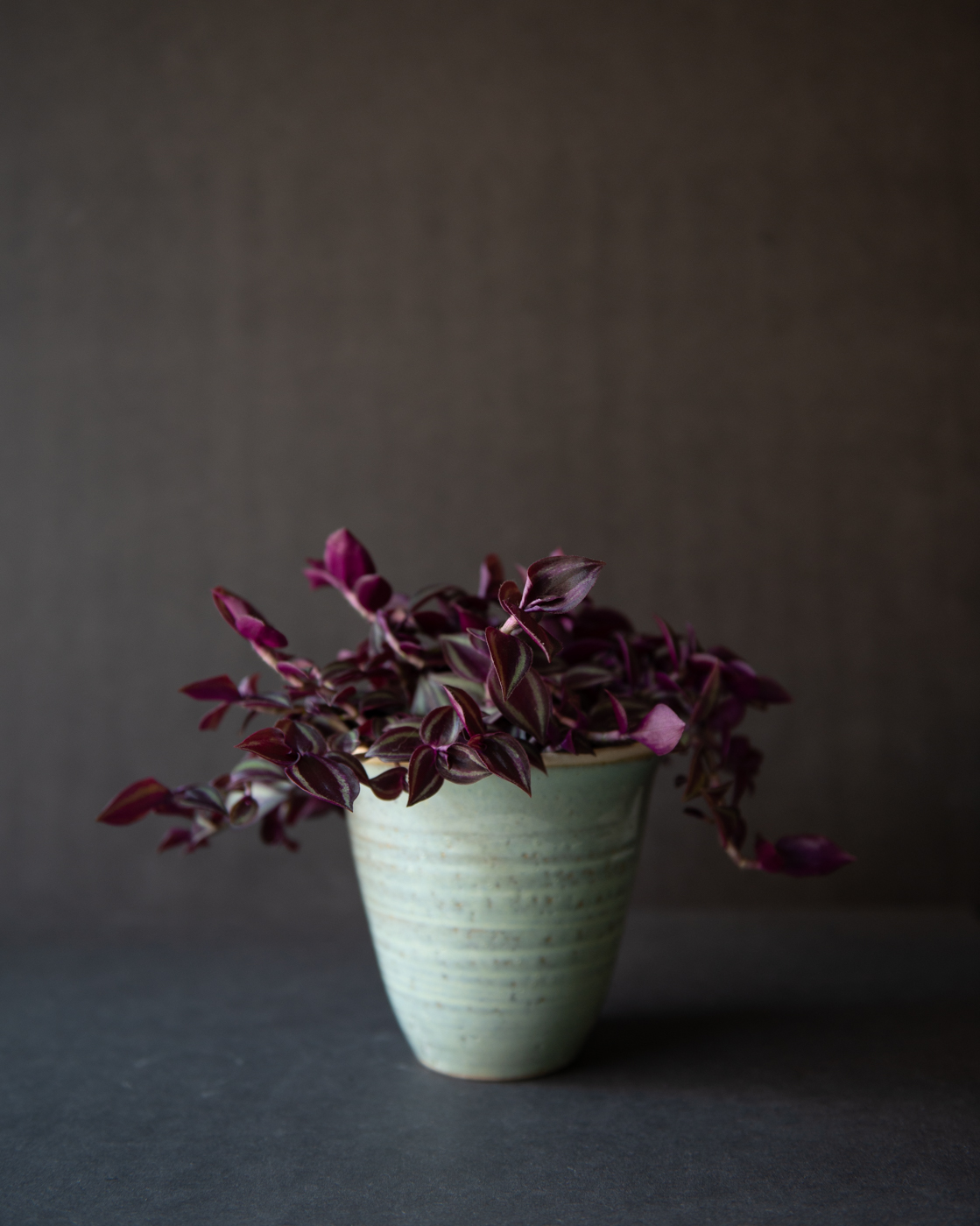 BERT CLAEYS — work